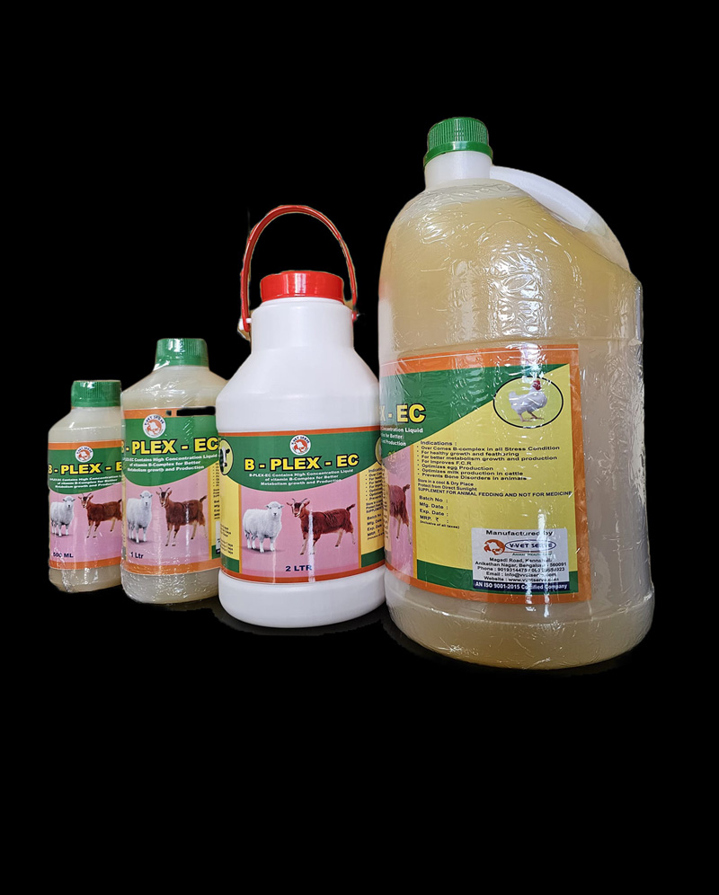 B PLEX EC High Concentration Liquid Vitamin B-Complex - V Vet Serve